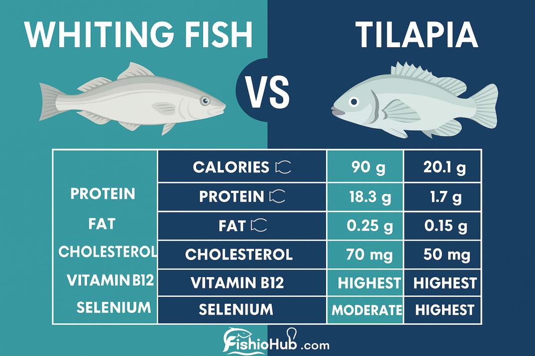 Whiting Fish vs Tilapia – Which Is Healthier, Tastier, & Why Is Whiting ...