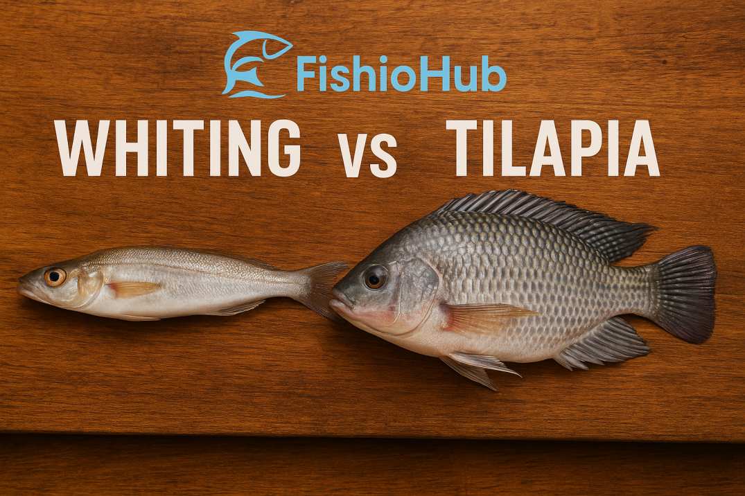 Whiting Fish vs Tilapia – Which Is Healthier, Tastier, & Why Is Whiting ...